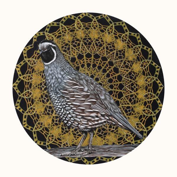 Quail Drawing Pattern Pair Of Mountain Quail Bird Illustration By John